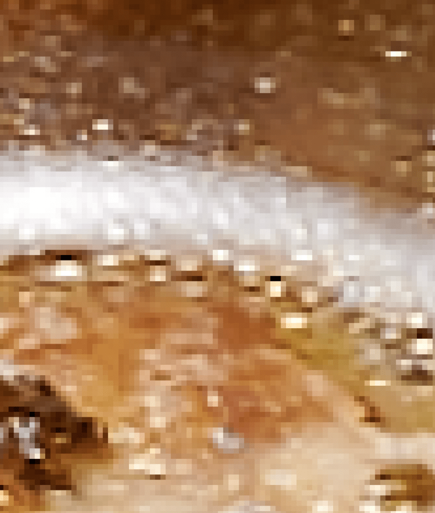 Photo Storage Solutions for Photographers - The Bite Shot: Food ...