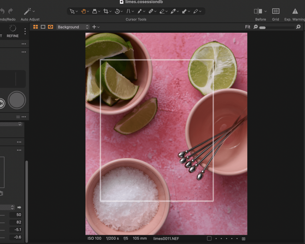 Composition Guides for Food Photography